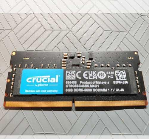 Оперативная память DDR5 Crucial 8GB 5600mhz новая