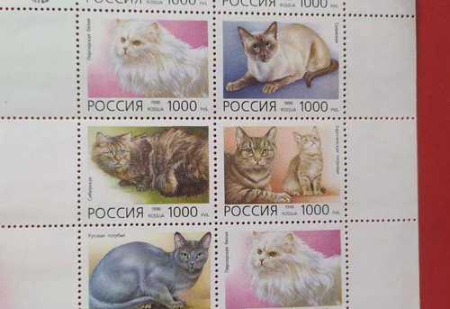 Почтовый блок-10 марок- Кошки
