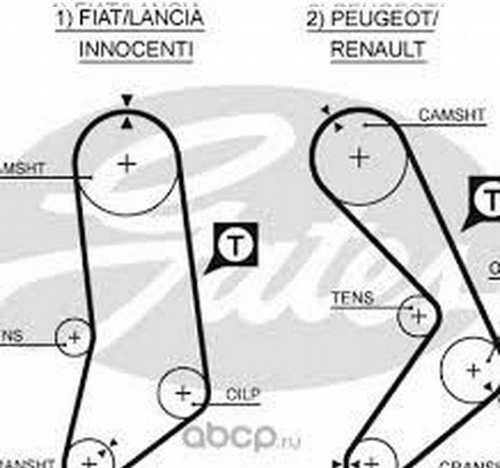 Ремень грм gates 5033