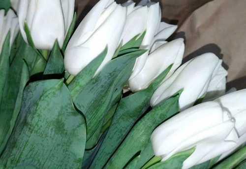 Тюльпаны на 8 марта для ваших дам