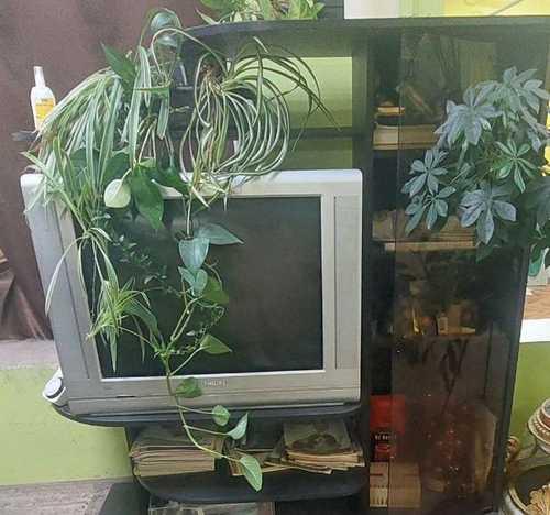 Полка под тв, горка, стенка