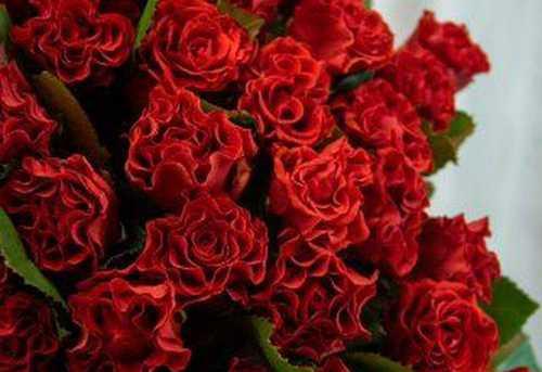 Букет из 51 красной махровой розы 40 см (Россия)