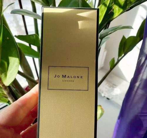 Дутики женские Jo Malone