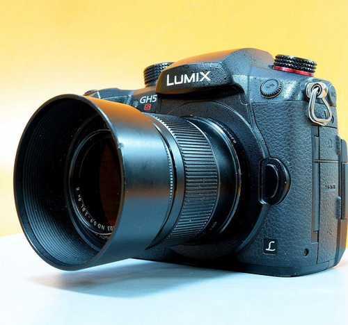 Panasonic Lumix GH5 S   42.5mm f1.7