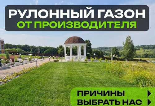 Рулонный газон Элитный. От производителя