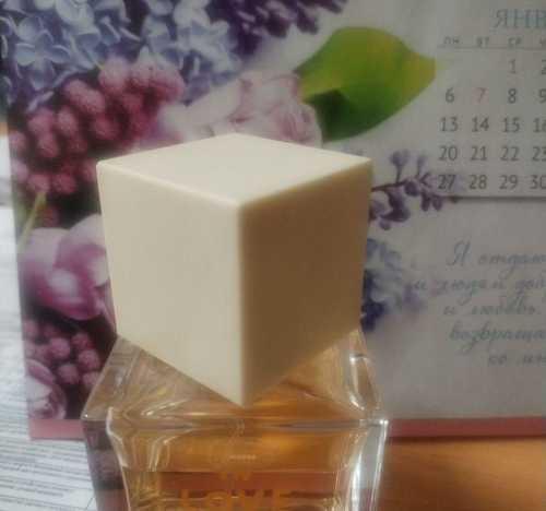 Ysl in love again