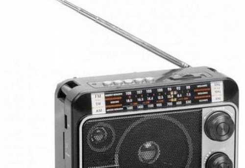 Радио Ritmix RPR-171