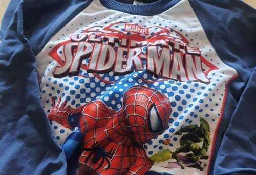 Свитшот spider man