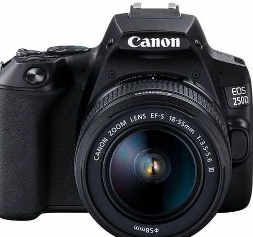 Canon EOS 250D Kit 18-55mm f/3.5-5.6 III