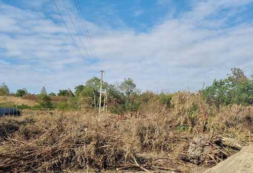Отдам дрова бесплатно