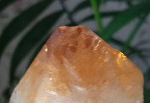 Цитрин кристалл