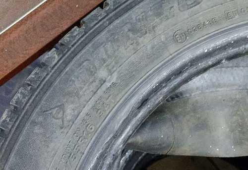 Dunlop Graspic DS-V 205/55 R16