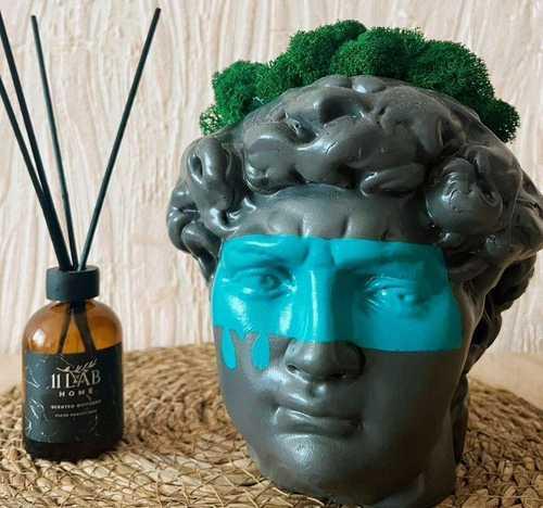 Кашпо со стабилизированным мхом