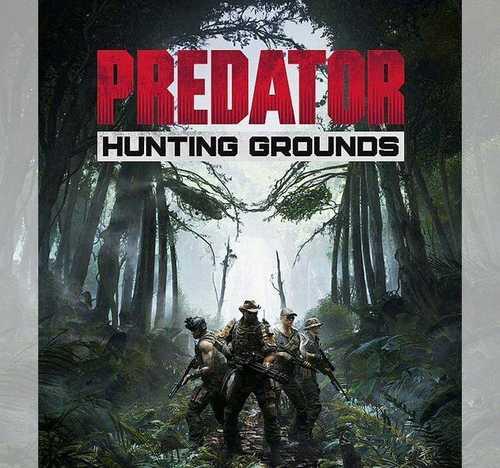 Predator hunting grounds ps4 и ps5