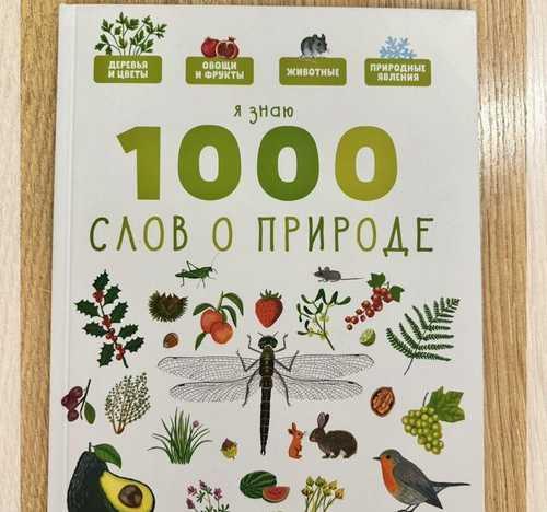 Книга детская 1000 слов clever