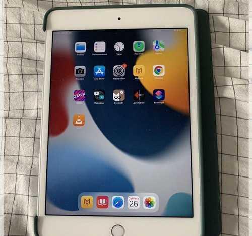 iPad mini 4 16 gb