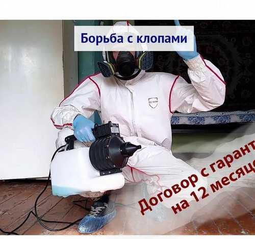 Уничтожение клопов тараканов грызунов