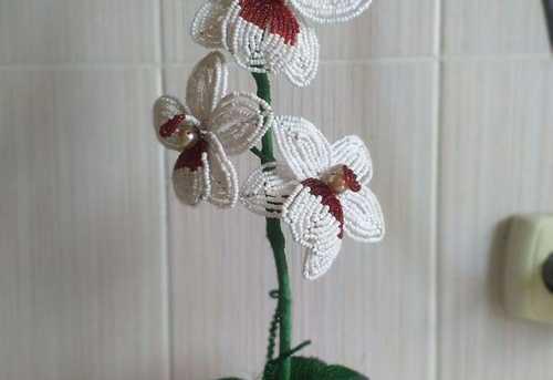Орхидея из бисера(фоленопсис)
