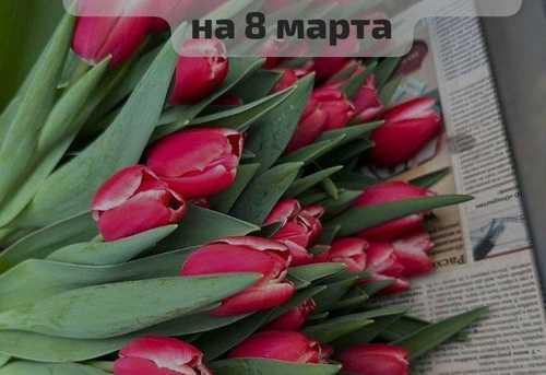 Тюльпаны к 8 марта оптом и розницу