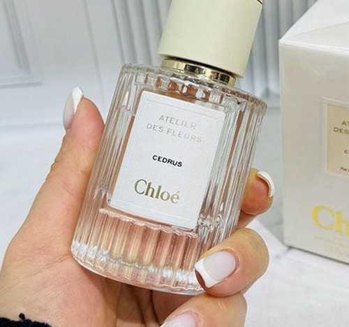 Cedrus Chloe 50мл