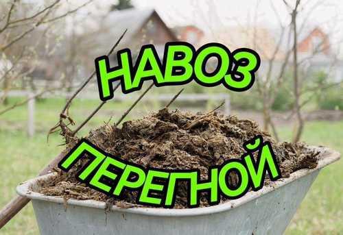 Навоз, перегной коровий