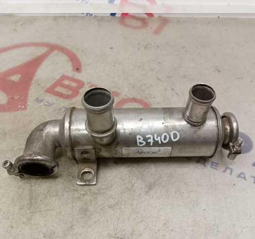 Радиатор egr, 161863 citroen berlingo (B9), 3050278