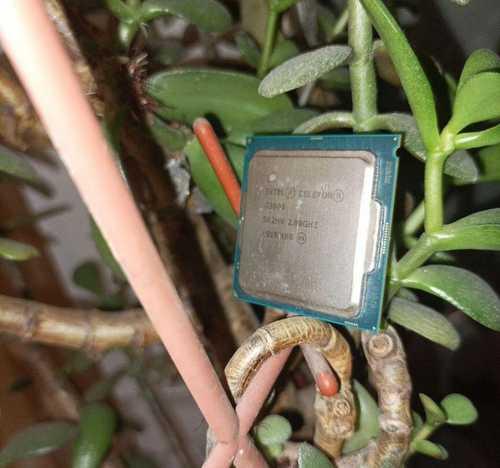 Intel celeron g3900