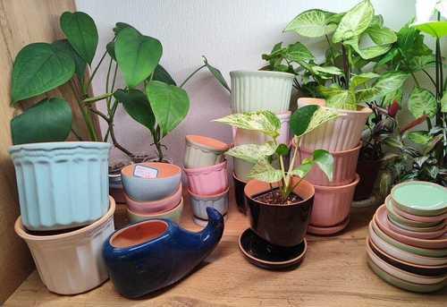 Горшки керамические для комнатных растений