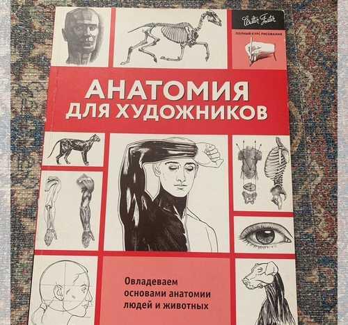 Книга учитель Анатомия для художников