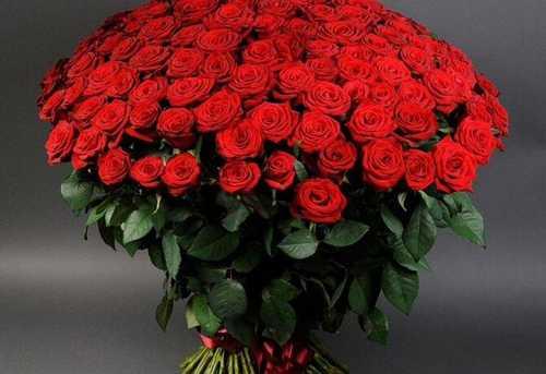 Великолепный букет из 151 розы