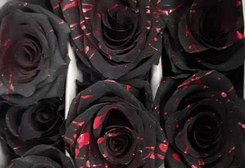 Черные Розы, букет черных Роз