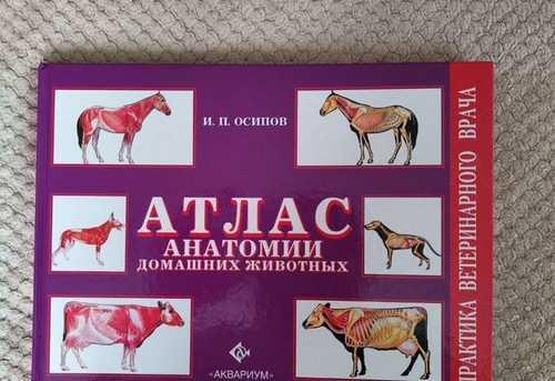 Атлас анатомии домашних животных И П.Осипов
