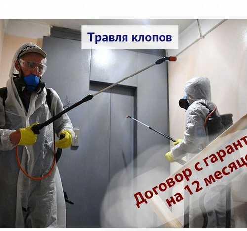 Уничтожение клопов тараканов клещей