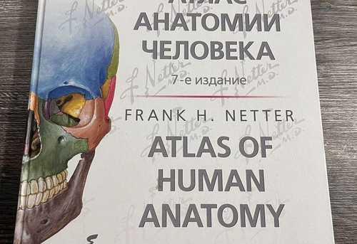 Атлас анатомии человека Френк неттер 2021