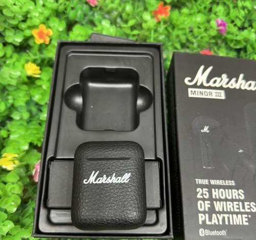 Marshall minor 3