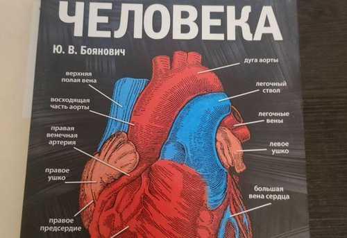 Анатомия человека: компактный атлас-раскраска