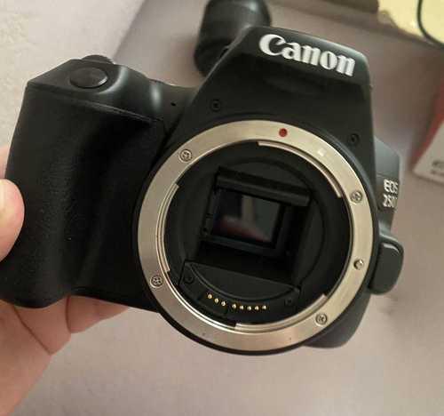 Фотоаппарат canon eos 250d kit