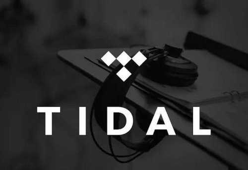 Tidal Hi-Fi Plus 1-12 Месяцев Челябинск