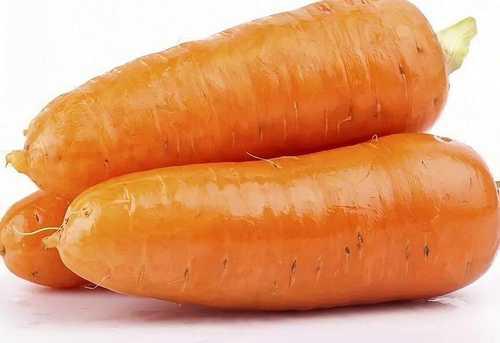 Семена моркови абако, боливар, св7381