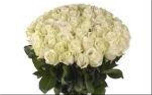 Букет из 49 белых роз 60 см, цветы доставка
