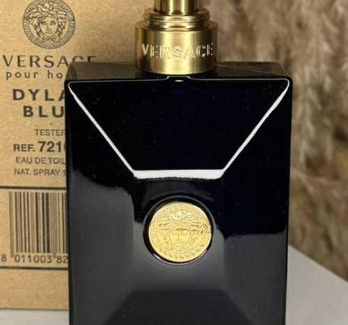 Versace Pour Homme Dylan Blue