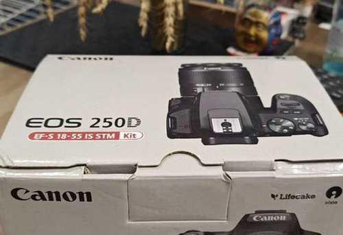 Зеркальный фотоаппарат canon EOS 250d