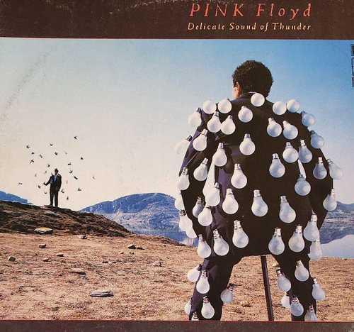 Виниловые пластинки pink floid