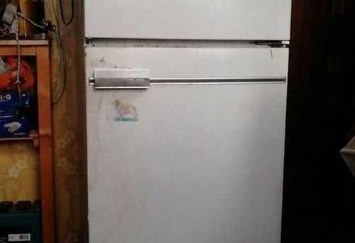 Холодильник Бирюса 22 на запчасти
