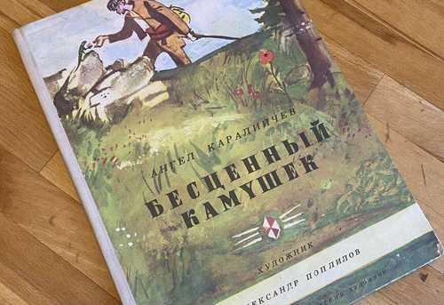 Большая детская книга «Бесценный камушек»