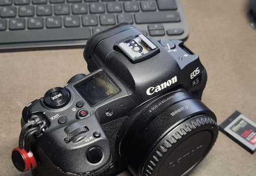 Canon EOS R5 + adapter EF-RF