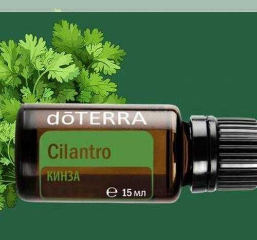 Эфирное масло Doterra Кинза