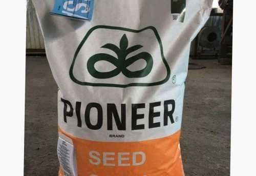 Семена кукурузы Пионер П9874