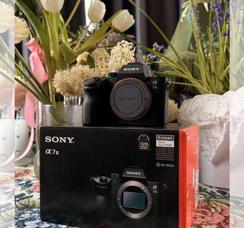 Sony alpha A7 III body