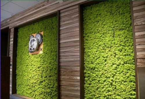 Зеленые стены: природа в домашнем интерьере. Арт: